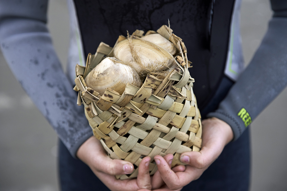 New Zealand Nourishment. | Bloc Hotel.